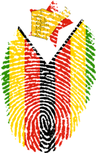 Zimbabwe Police Clearance Certificates | Visa Pro